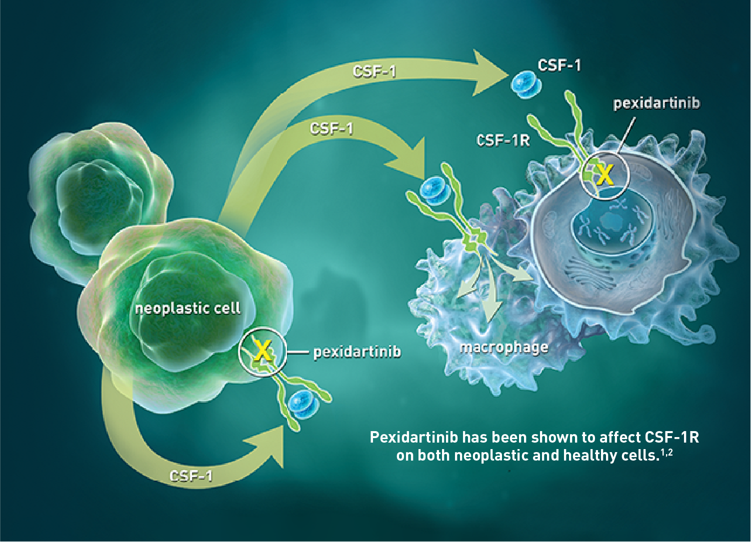 TURALIO ® (pexidartinib) for TGCT | HCP