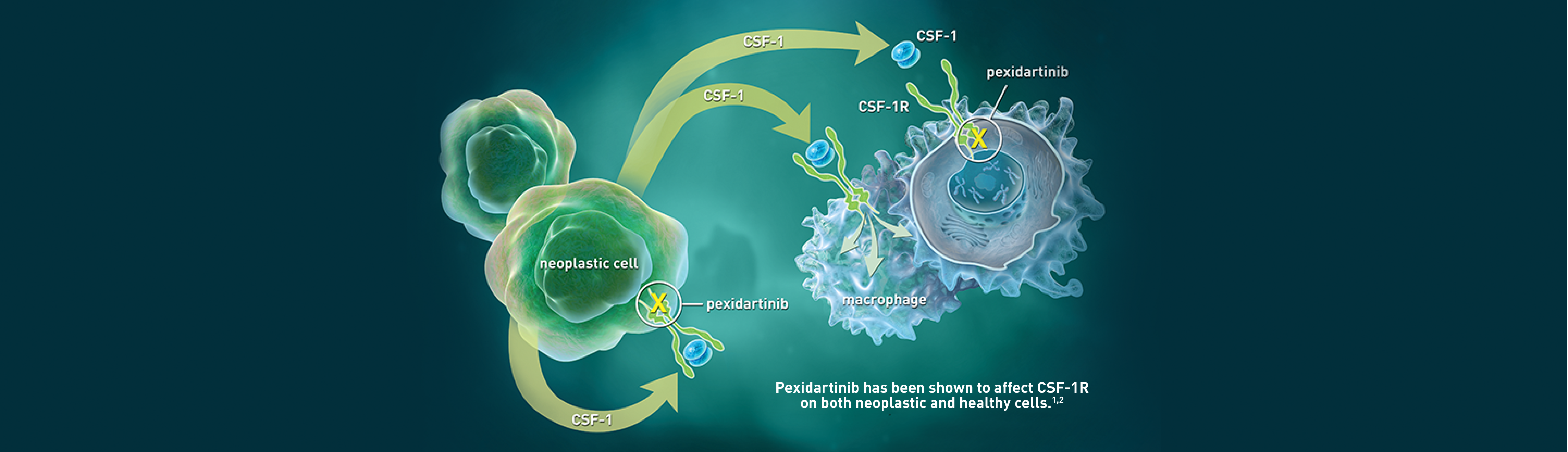 TURALIO ® (pexidartinib) for TGCT | HCP